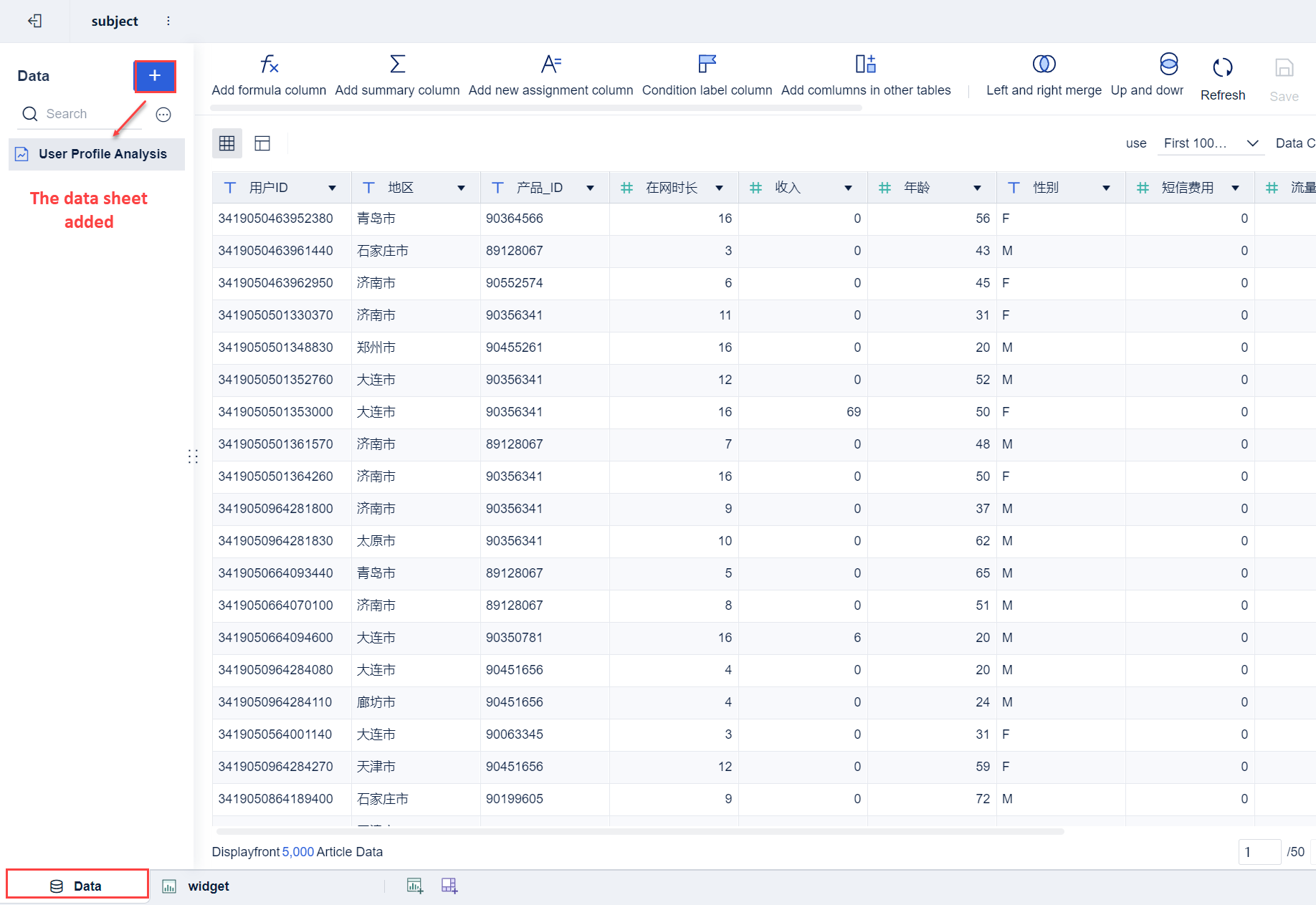 An Overview of Analysis Subject- FineBI Document