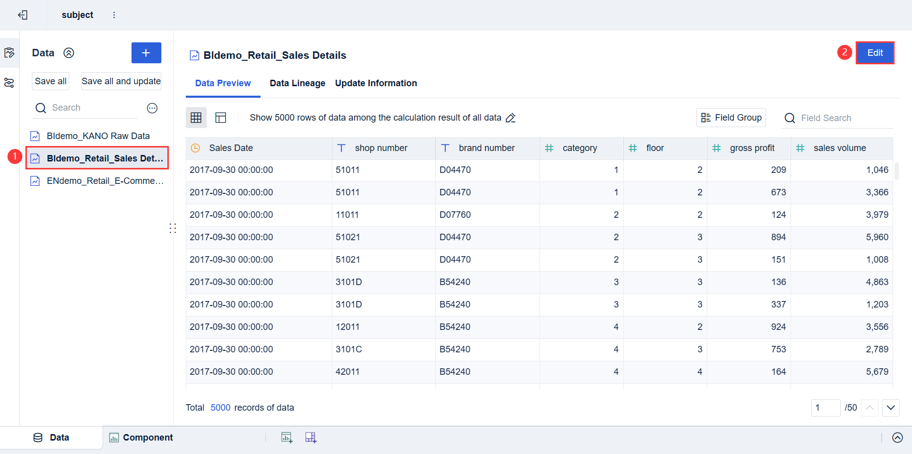 Data Management- FineBI Document