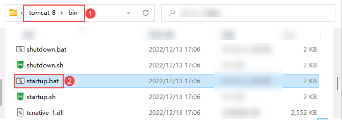 Deploying the FineBI Project Locally in Tomcat Container on Windows- FineBI Help Document