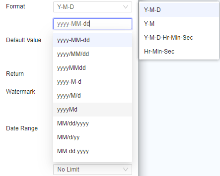 FVS Date Time Widget-FineReport Help Document