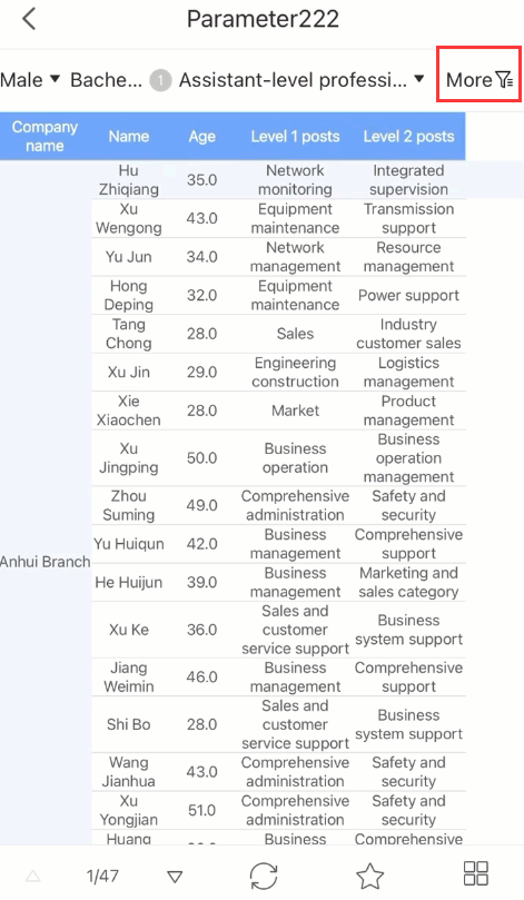 [General] Top Parameter Panel Plugin-FineReport Help Document