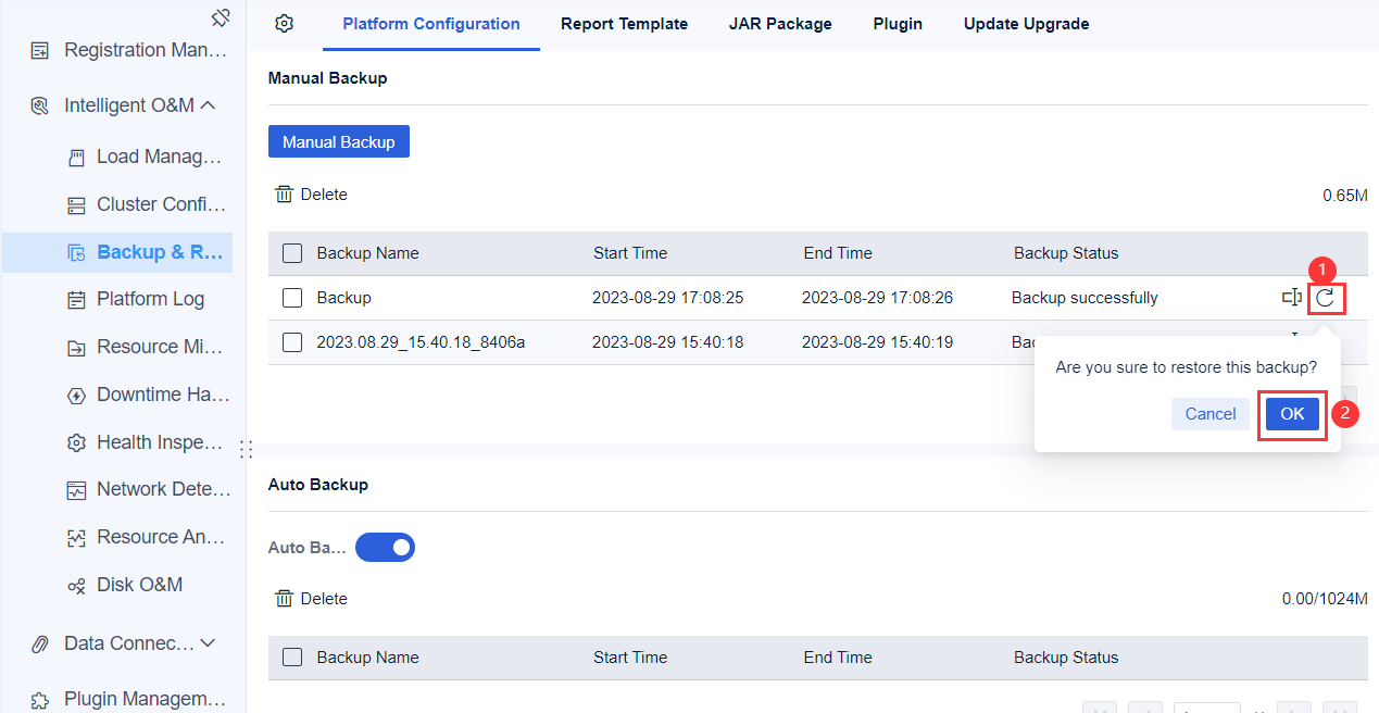 Backup and Restoration-FineReport Help Document