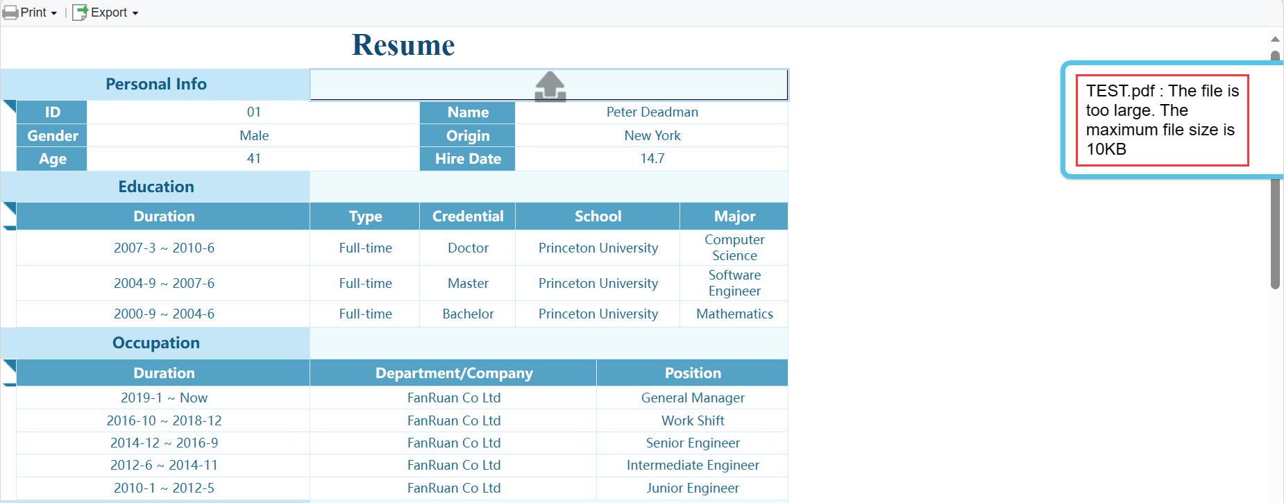 Security Protection-FineReport Help Document