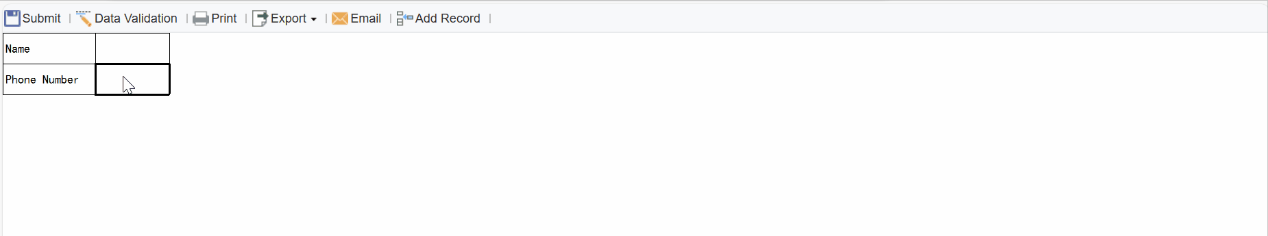 Immediate Verification-FineReport Help Document