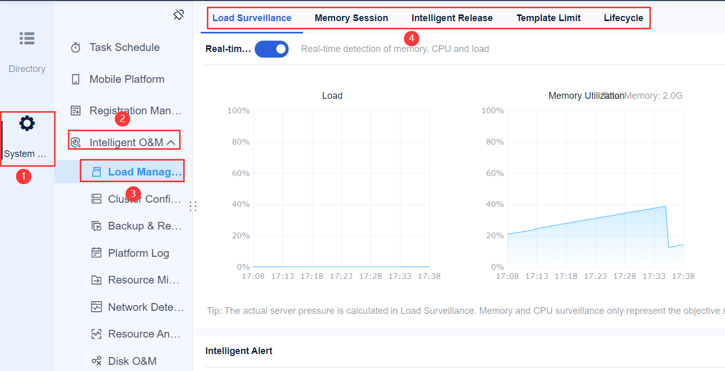 Load Management-FineReport Help Document