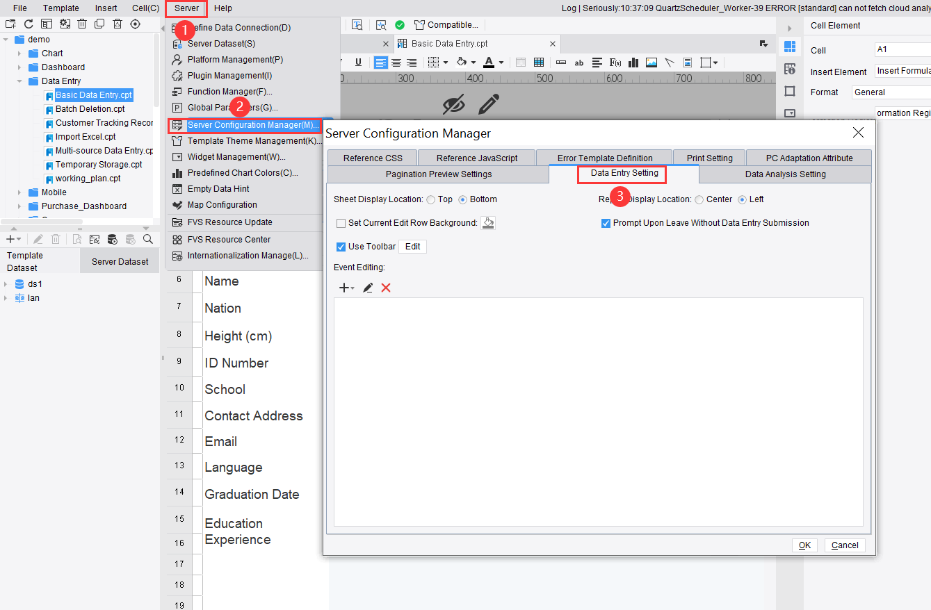 Data Entry Preview-FineReport Help Document