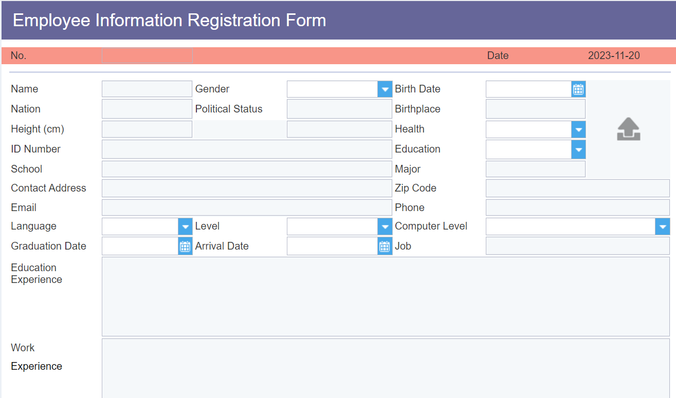 Data Entry Preview-FineReport Help Document