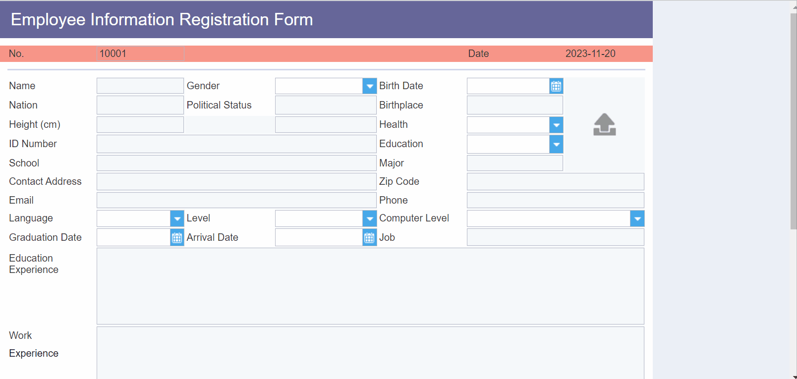 Data Entry Preview-FineReport Help Document