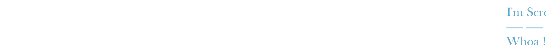 Scrolling Text Plugin-FineReport Help Document