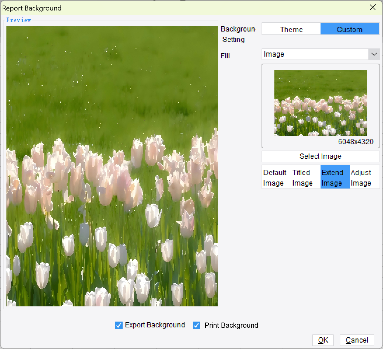 Report Background-FineReport Help Document