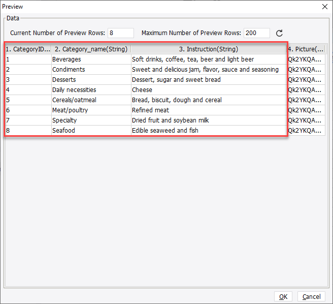 Data Dictionary-FineReport Help Document