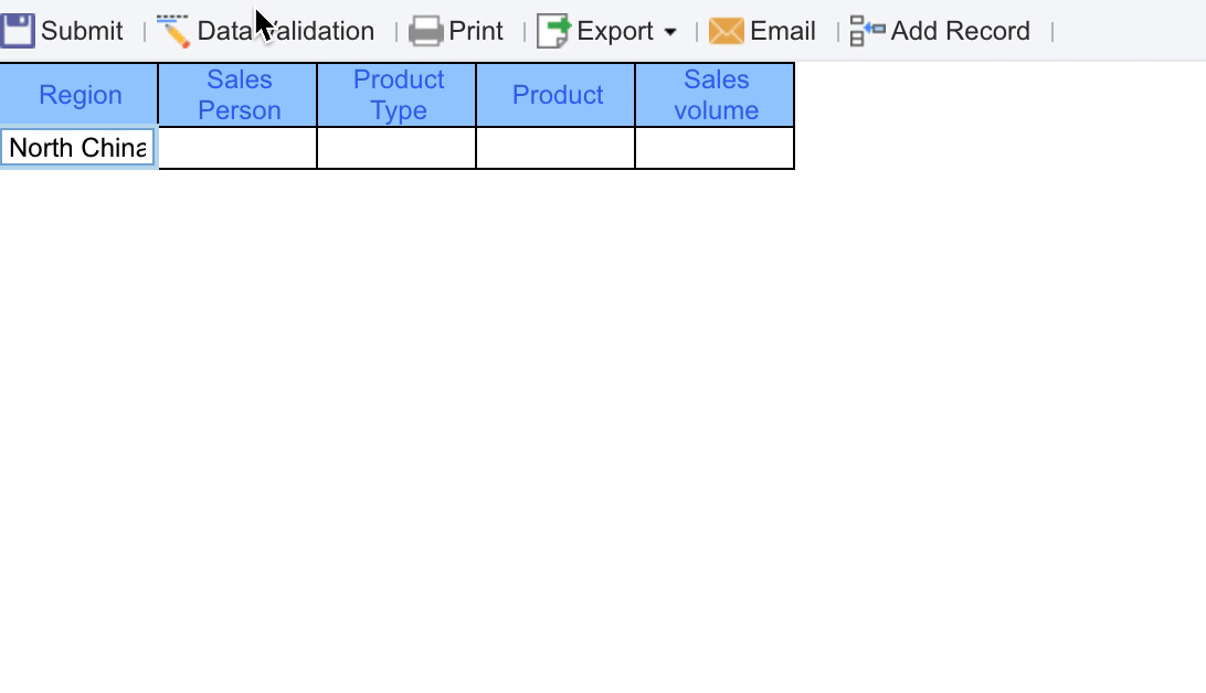 Field Verification-FineReport Help Document