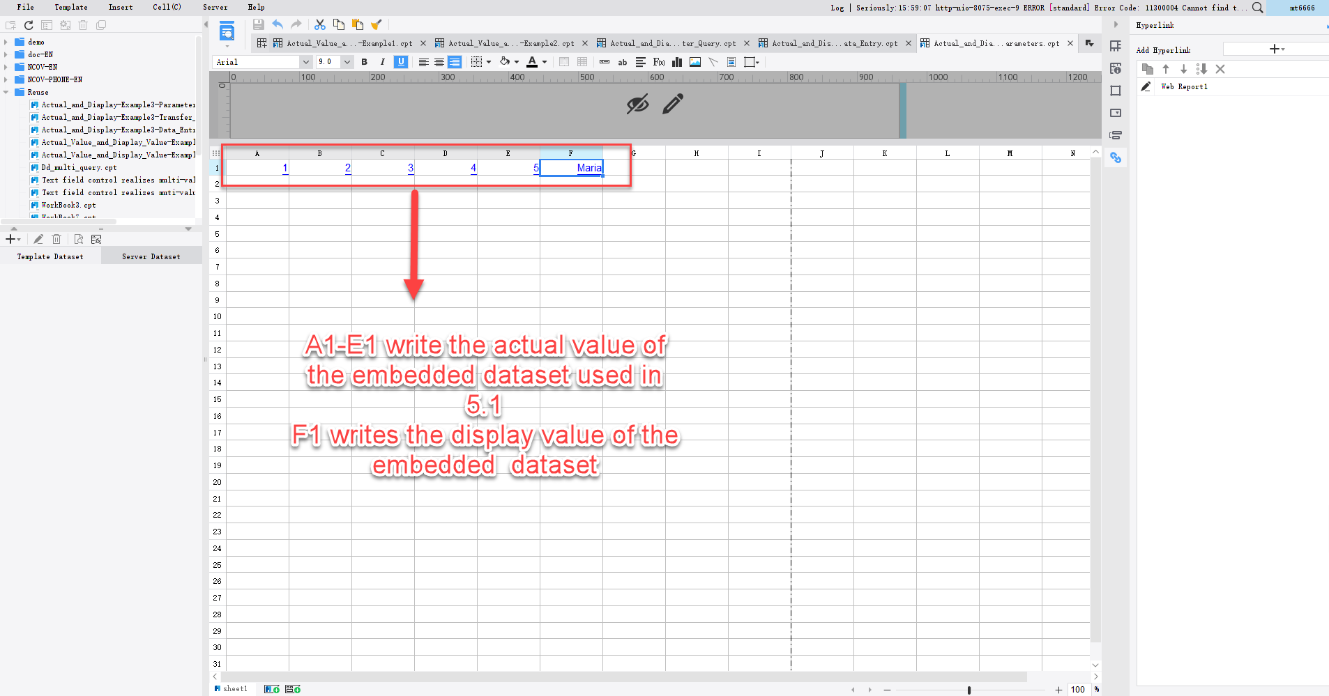 Actual Value and Diaplay Value-FineReport Help Document