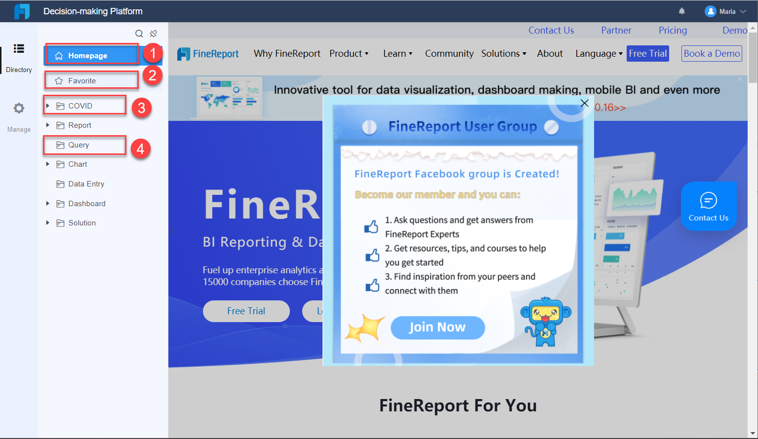 Platform Theme-FineReport Help Document