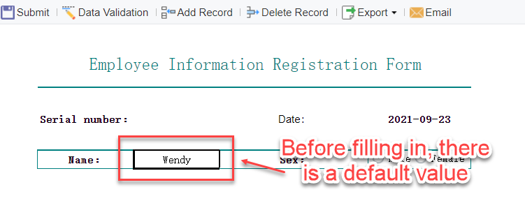 Widget default value-FineReport Help Document