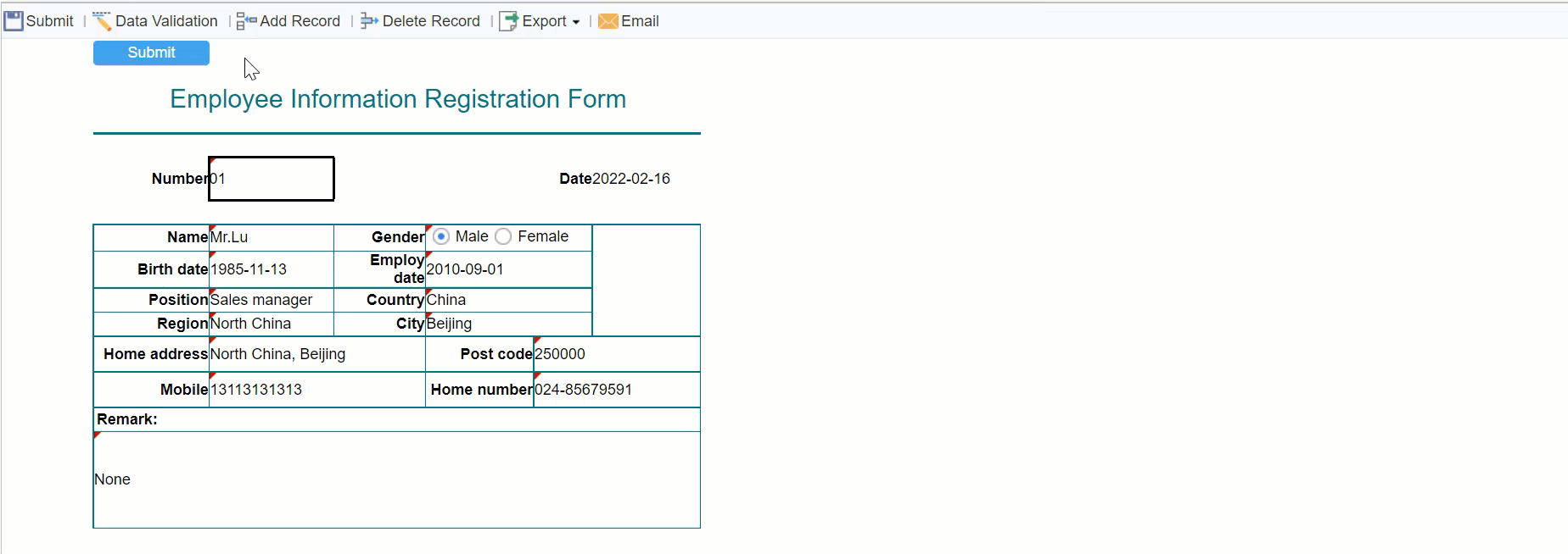 API Only for Data Entry Preview-FineReport Help Document