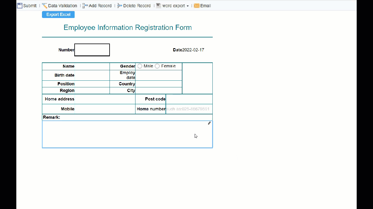 API Only for Data Entry Preview-FineReport Help Document